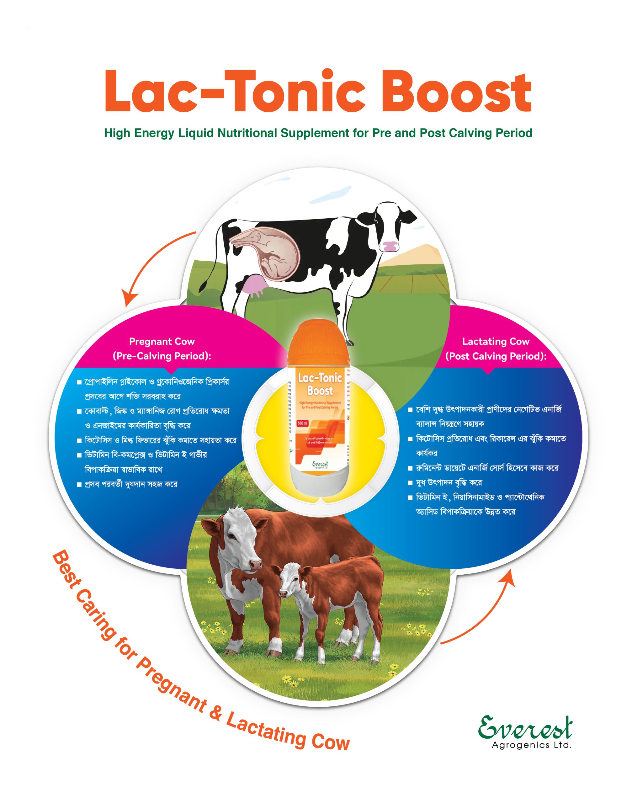 Cattle & Goat Health Care Solution – Caring Nature l Caring Future